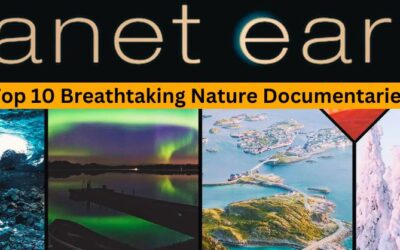 Pep Talk Radio - The World's Largest Language Community